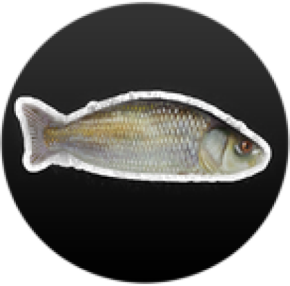 Fish. - Roblox
