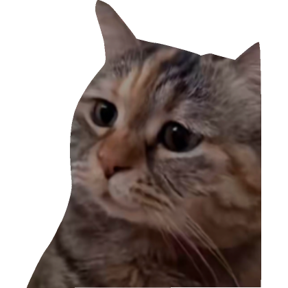 Chatting Cat-Guang Dang | Roblox Item - Rolimon's