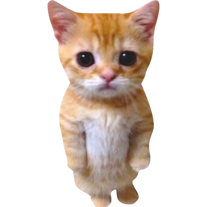 el gato | Roblox Item - Rolimon's
