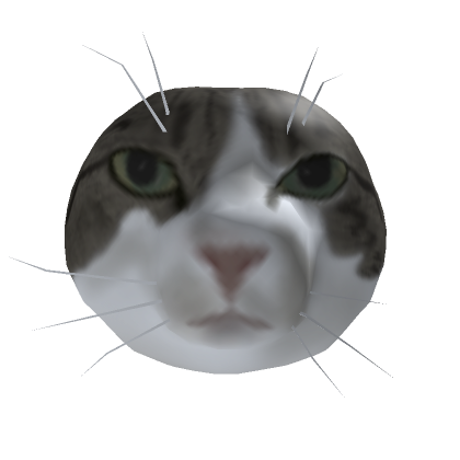 Wawa cat | Roblox Item - Rolimon's