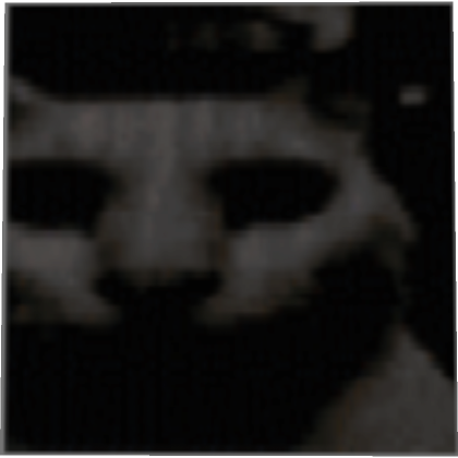 Uncanny Cat | Roblox Item - Rolimon's