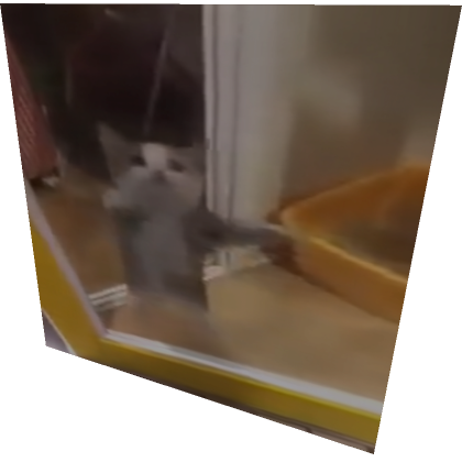 Happy Dancing Cat Kitten PFP Profile Picture | Roblox Item - Rolimon's