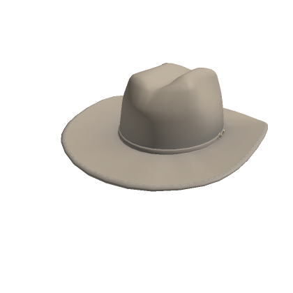 Tan Stetson | Roblox Item - Rolimon's