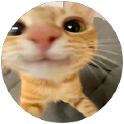 Sigma Cat - Roblox