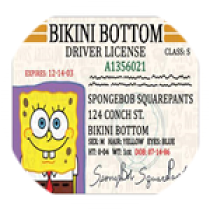 spongebob driver license - Roblox