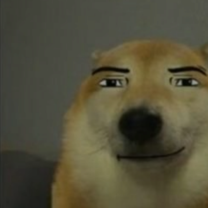 staring dog pfp | Roblox Item - Rolimon's