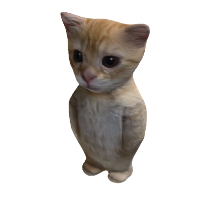 El Gato Cat Suit | Roblox Item - Rolimon's