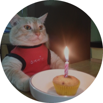 Birthday Cat PFP | Roblox Item - Rolimon's