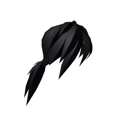 Black Spiky Ponytail | Roblox Item - Rolimon's
