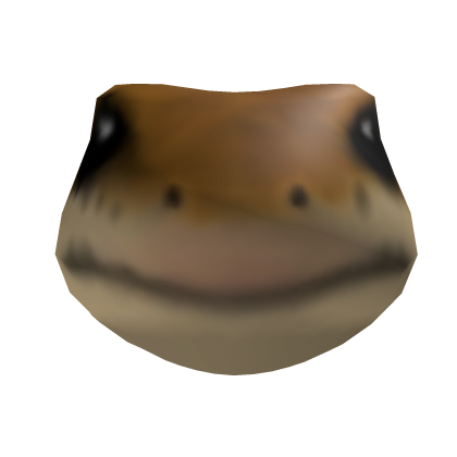 Staring Lizard | Roblox Item - Rolimon's