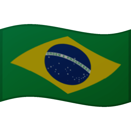 Brazil Flag Pin | Roblox Item - Rolimon's