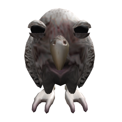 Wet Owl | Roblox Item - Rolimon's