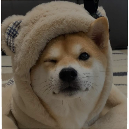 Wink dog (Profile Picture) | Roblox Item - Rolimon's