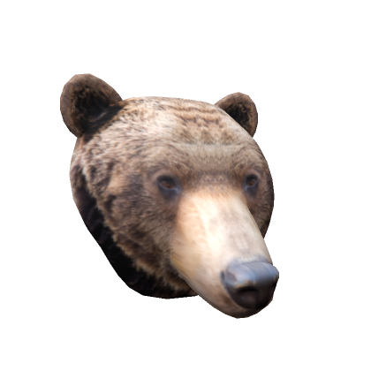 Realistic Bear Head 🐻 | Roblox Item - Rolimon's