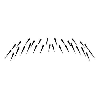 Stubble Mustache | Roblox Item - Rolimon's