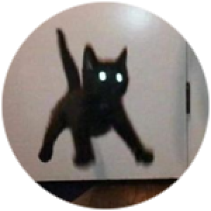 flying cat - Roblox