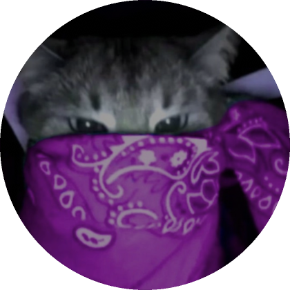 Purple Bandana Cat PFP | Roblox Item - Rolimon's