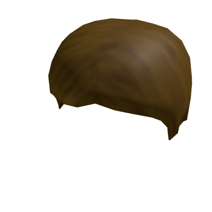 Normal Boy Hair - Roblox