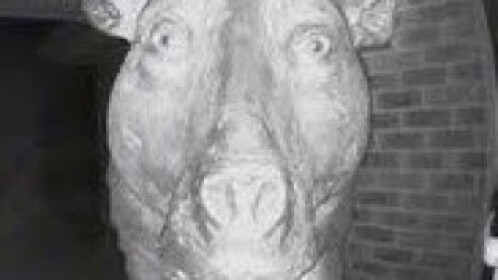 fnaf poop pedo padre de familia inodoro doodoo juego de rol - Roblox