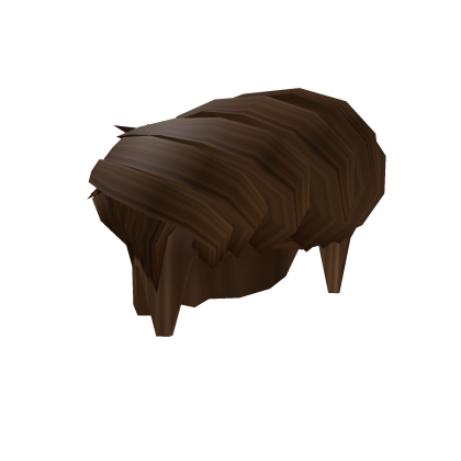 Brown Hair | Roblox Item - Rolimon's