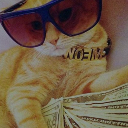 Rich Money Cat Swag Pfp | Roblox Item - Rolimon's