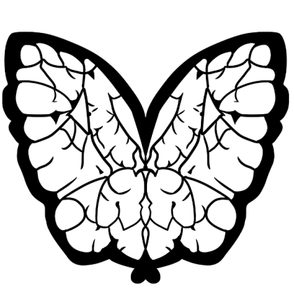 Solemn Lament White Butterfly