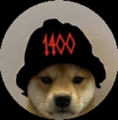 Perrito bandido - Roblox