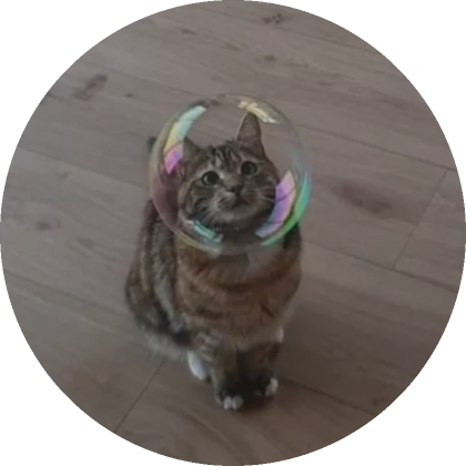 Bubble Cat PFP | Roblox Item - Rolimon's