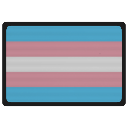 Shoulder Patch: Trans Pride Flag | Roblox Item - Rolimon's