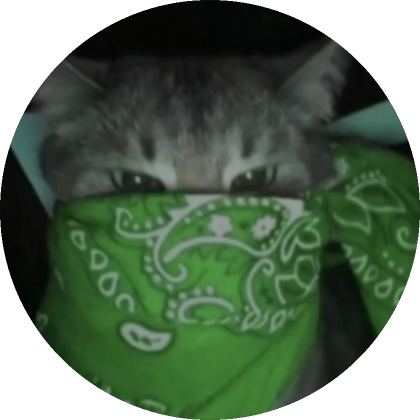 Green Bandana Cat PFP | Roblox Item - Rolimon's
