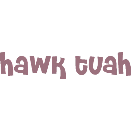hawk tuah funny meme text sign pink | Roblox Item - Rolimon's