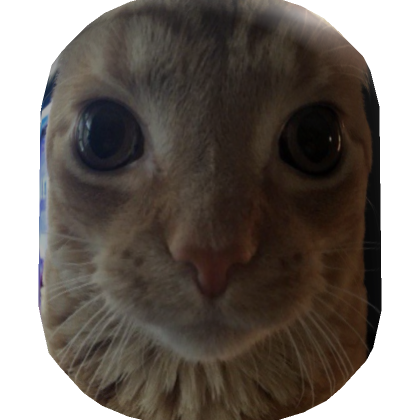 Dumb Cat Meme Face / Pfp | Roblox Item - Rolimon's