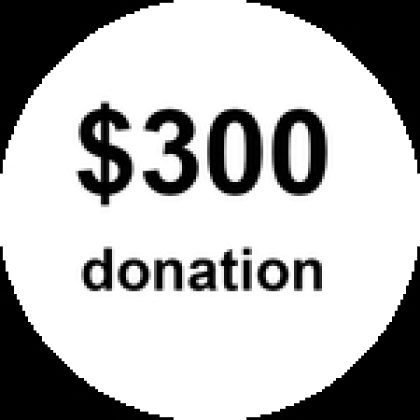 large donation - Roblox