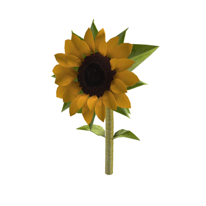 Sunflower - Roblox