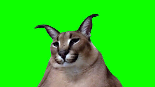 simulador de floppa - Roblox