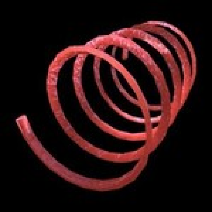 Speed coil - Roblox
