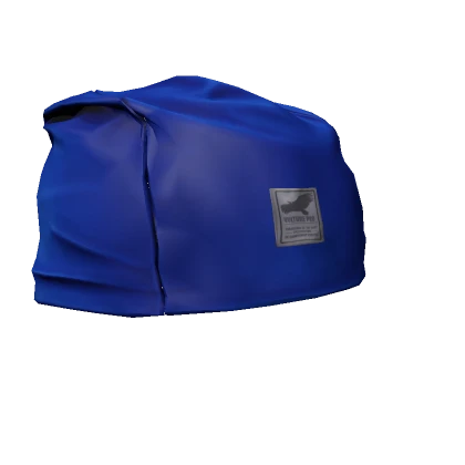 Omerta Vulture Ski Pro Blue | Roblox Item - Rolimon's