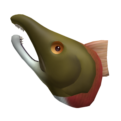 Salmon Head | Roblox Item - Rolimon's