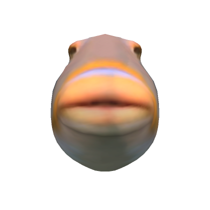 Staring Fish Head | Roblox Item - Rolimon's