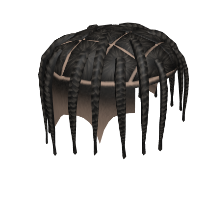 Box Braids | Roblox Item - Rolimon's