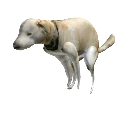 Pooping Dog | Roblox Item - Rolimon's