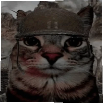 War Cat PFP | Roblox Item - Rolimon's