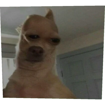 Best Dog PFP | Roblox Item - Rolimon's