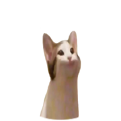 pop cat - Roblox