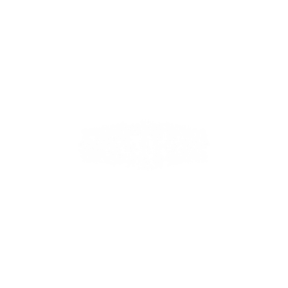 Guiding light particle (DOORS)