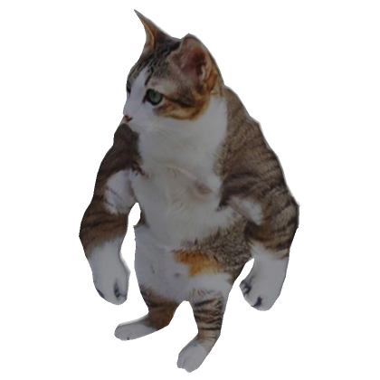 Muscle Cat (Back) | Roblox Item - Rolimon's