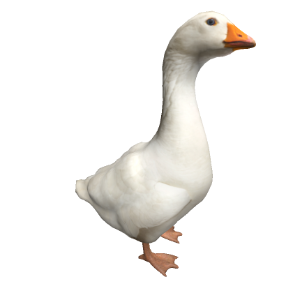 Goose on head | Roblox Item - Rolimon's