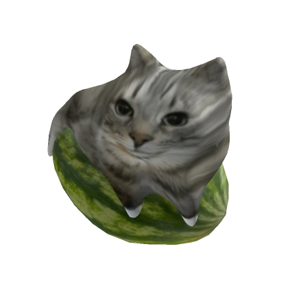 Watermelon Cat Suit | Roblox Item - Rolimon's