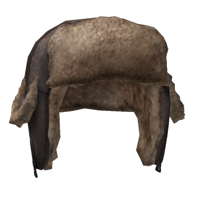 Brown Ushanka | Roblox Item - Rolimon's