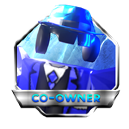 Co-Owner - Roblox
